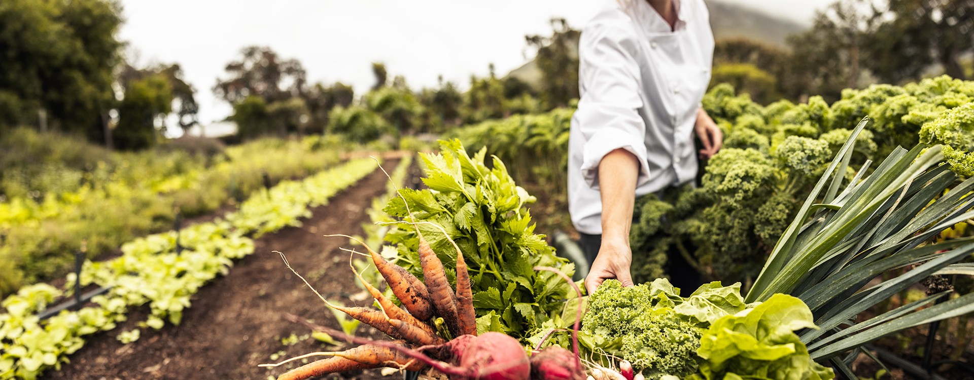 Les amies au potager